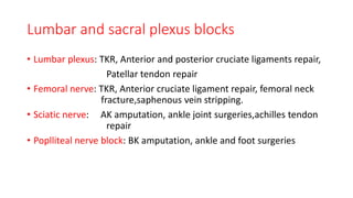 Lower extrimity blocks | PPTX