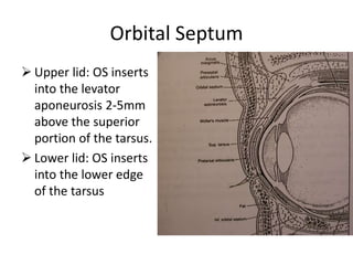 Lower eyelid reconstruction | PPTX