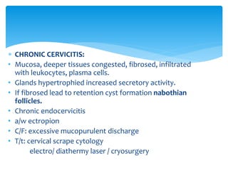 Lower genital tract infections by Dr. Preksha | PPTX