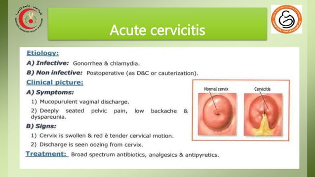 Lower genital tract infection tutorial.pptx