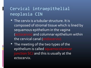 Lower genital tract tumors | PPT