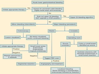 Lower Gi Bleeding Pptx