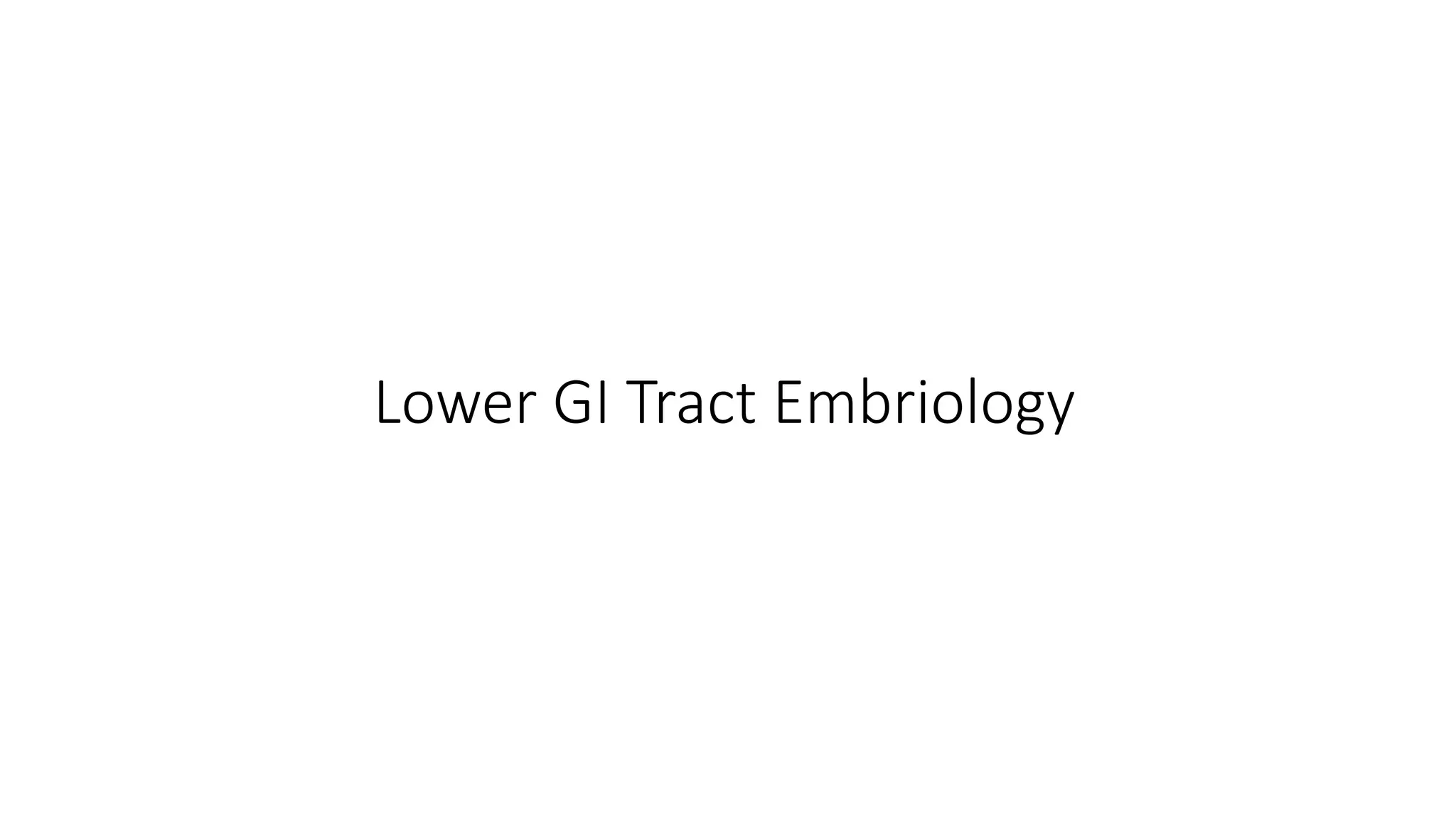 Lower GI Tract Basic Science.pptx