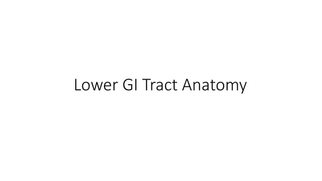 Lower GI Tract Basic Science.pptx