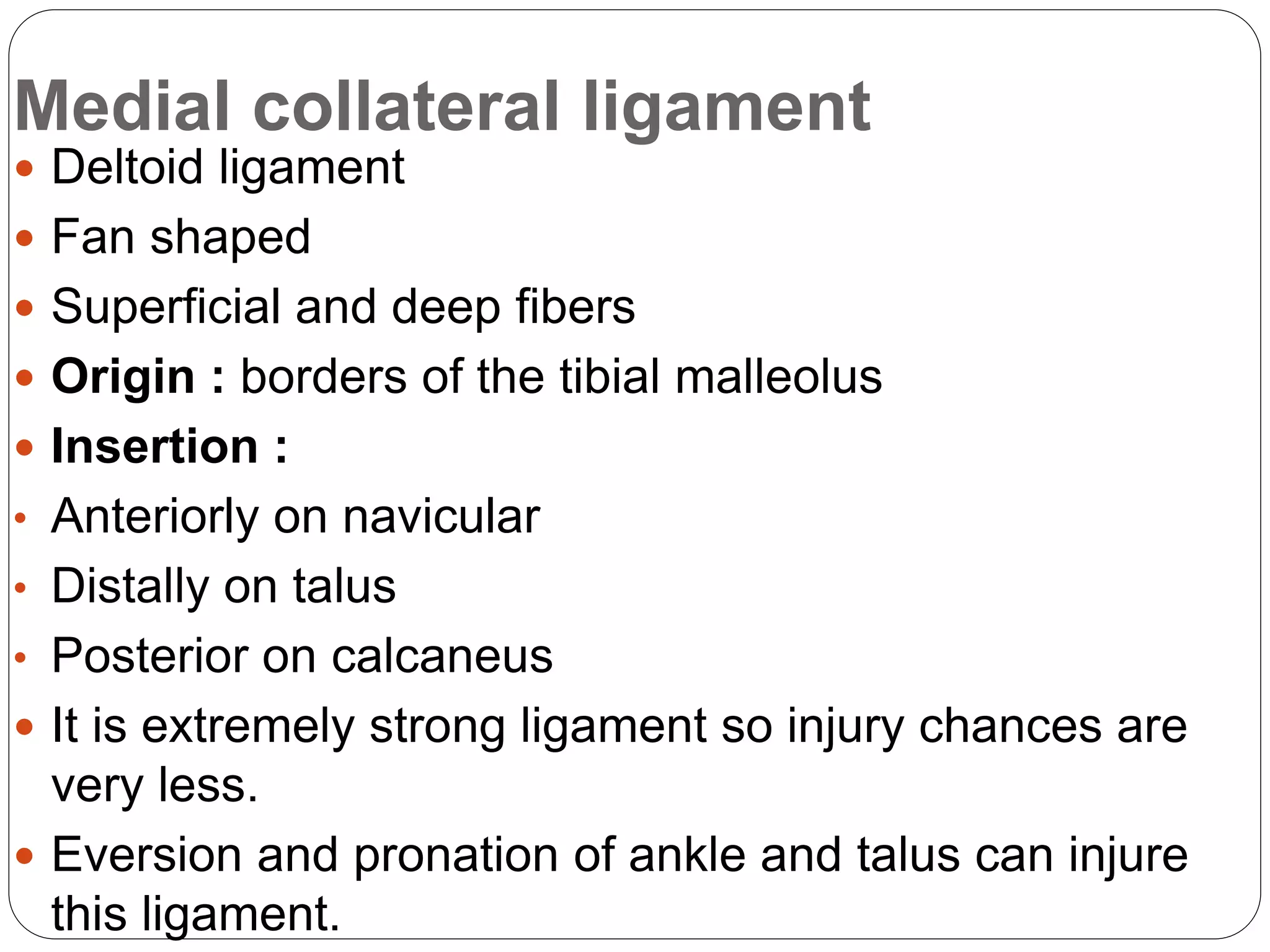 Anatomy of Lower leg, ankle, and foot | PPTX