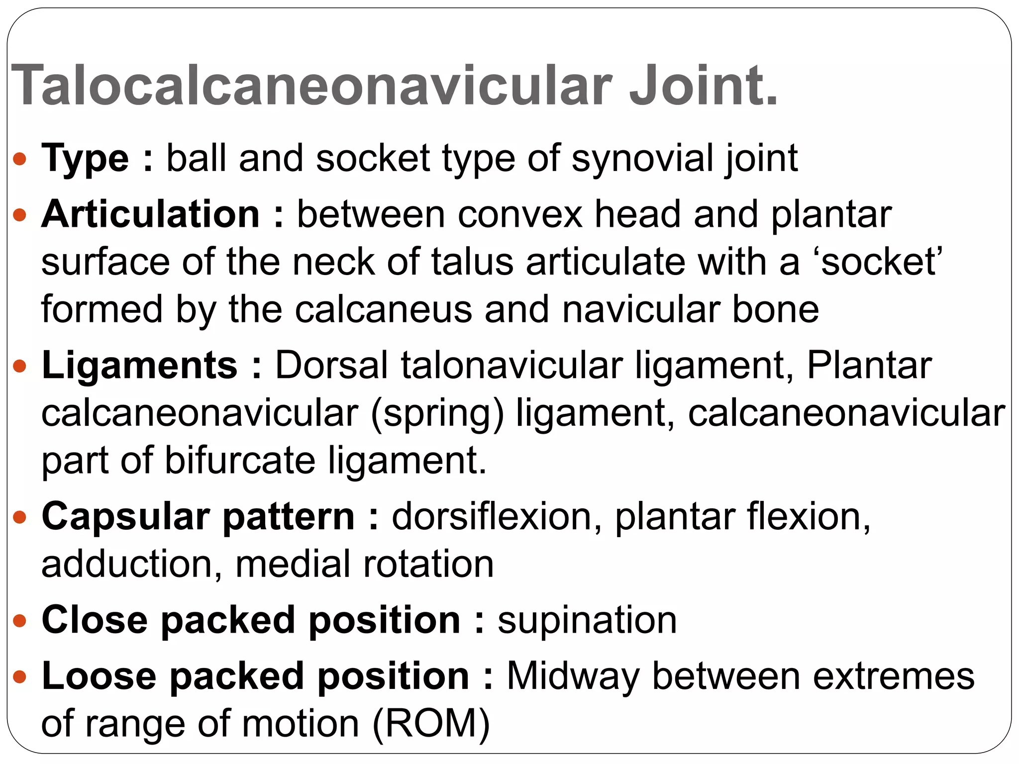 Anatomy of Lower leg, ankle, and foot | PPTX