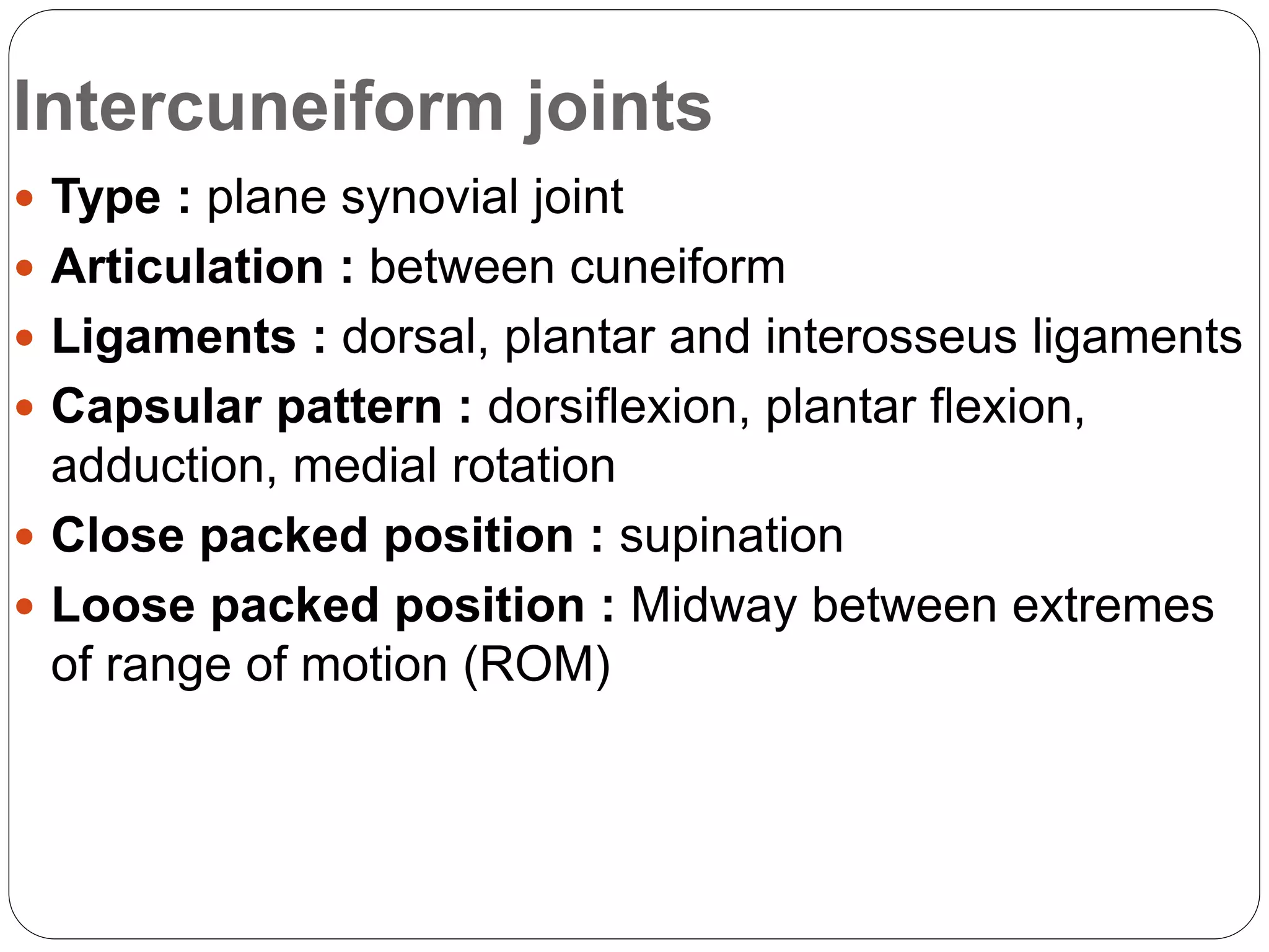 Anatomy of Lower leg, ankle, and foot | PPTX