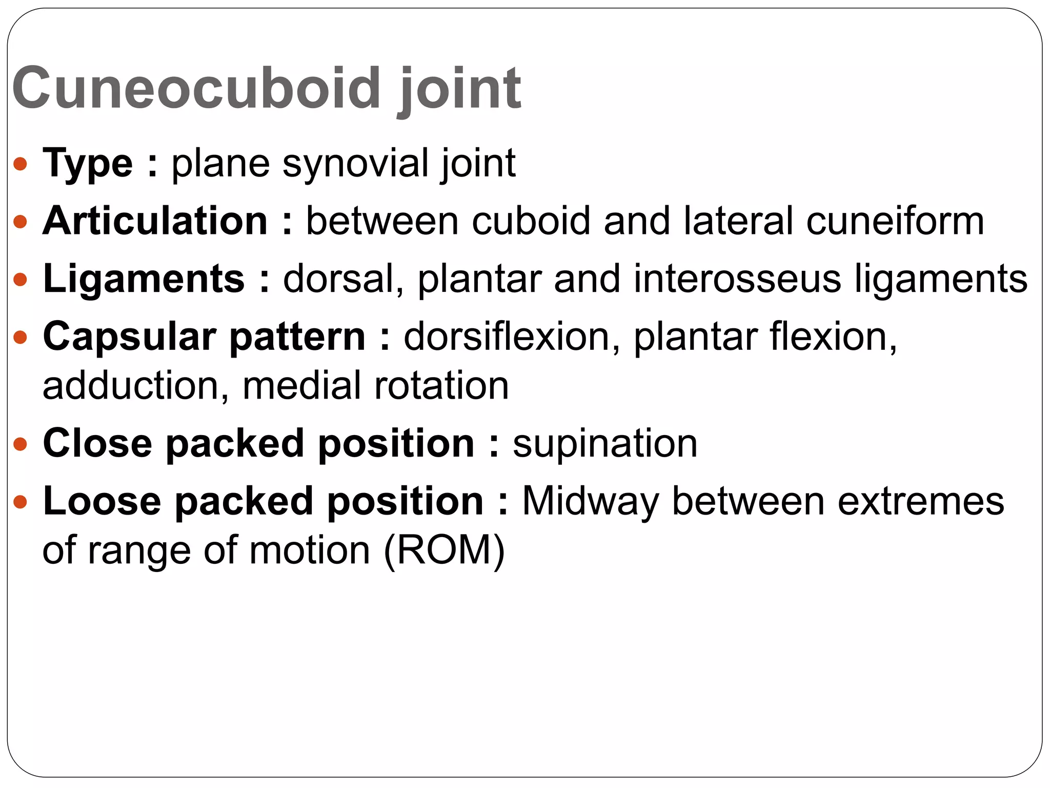 Anatomy of Lower leg, ankle, and foot | PPTX