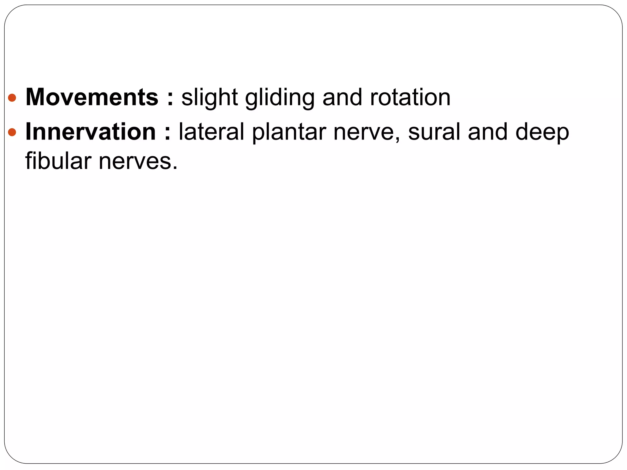 Anatomy of Lower leg, ankle, and foot | PPTX