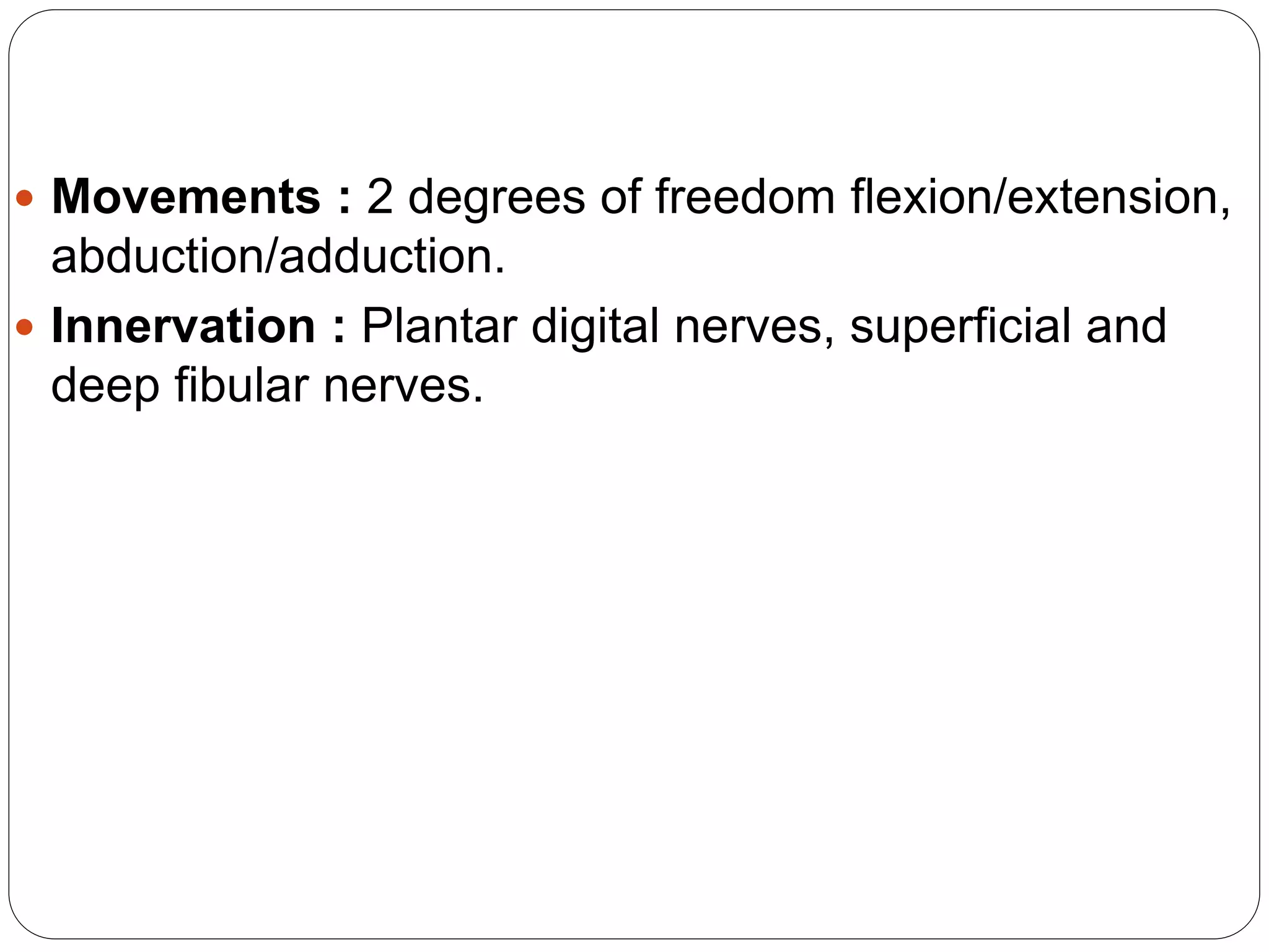 Anatomy of Lower leg, ankle, and foot | PPTX