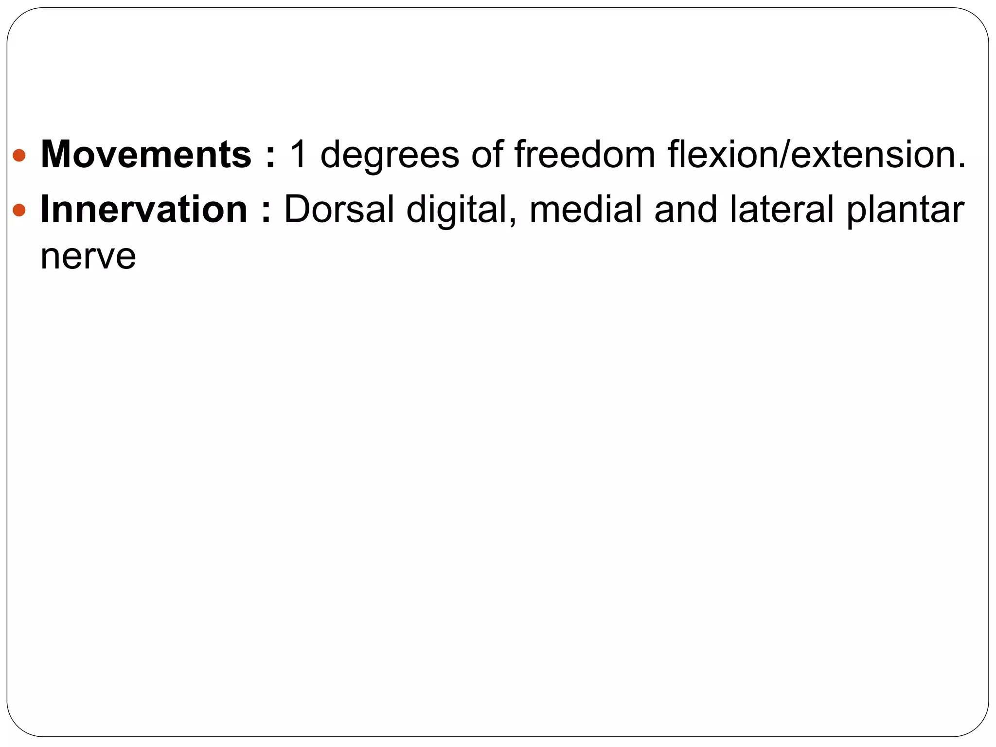 Anatomy of Lower leg, ankle, and foot | PPTX