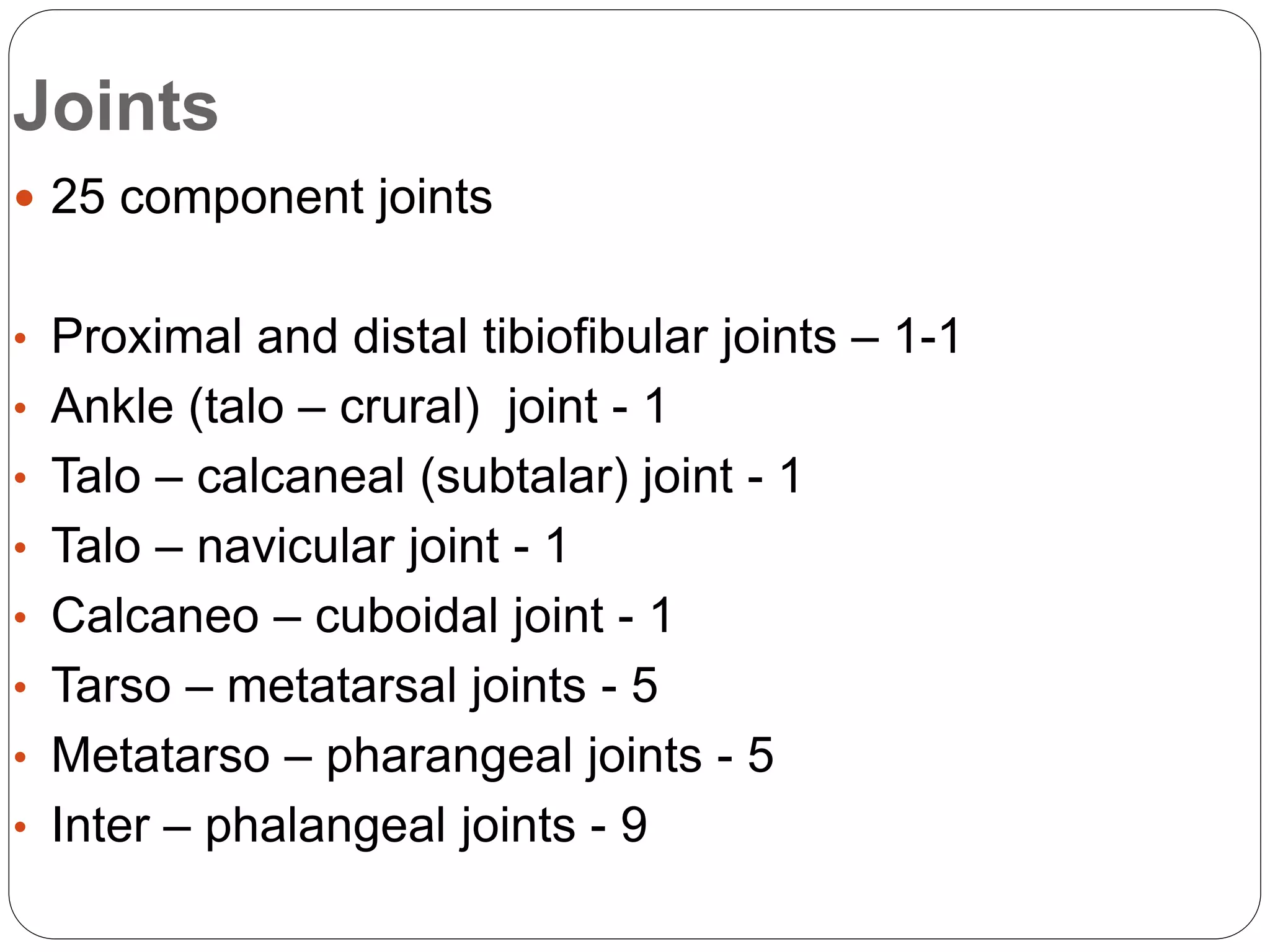 Anatomy of Lower leg, ankle, and foot | PPTX