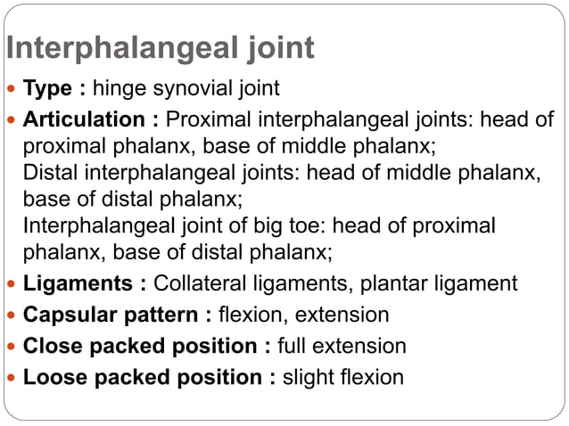 Anatomy of Lower leg, ankle, and foot | PPTX