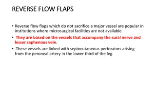 Lower leg defect reconstruction | PPTX