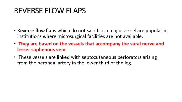 Lower leg defect reconstruction | PPTX | First Aid | Injuries