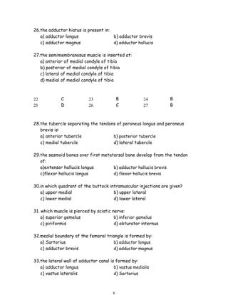 Lower Limb Anatomy BCQs | PDF