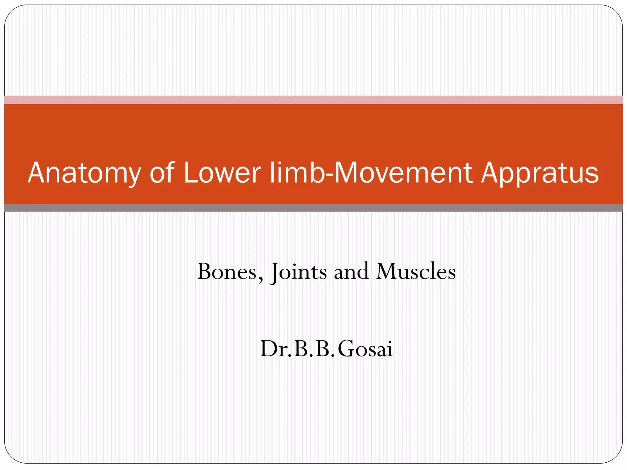 Lower limb bones-joints-muscles-Dr.B.B.Gosai | PDF