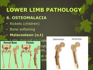 LOWER LIMB-RADPATHOLOGY.pptx