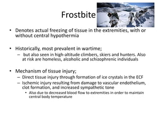 Lower Limb Amputations (Part I) | PPTX