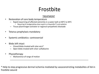 Lower Limb Amputations (Part I) | PPTX