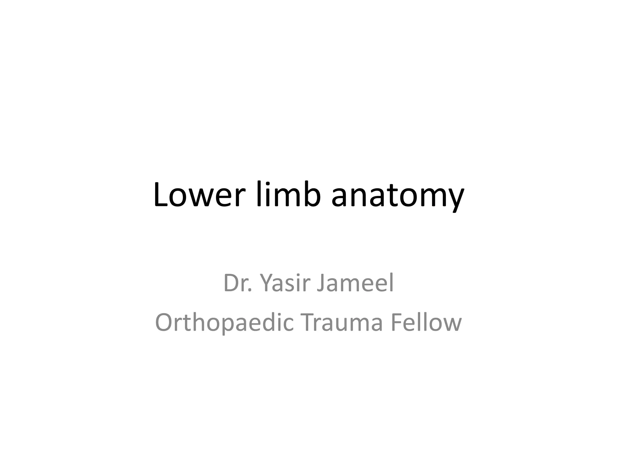 Lower Limb Anatomylect 2 Ppt