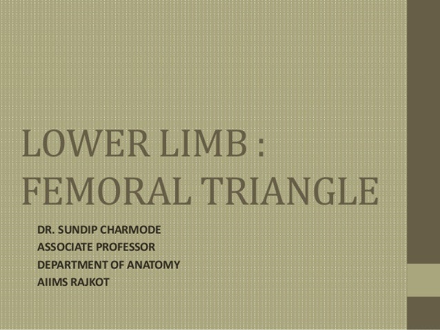 Lower limb and femoral triangle.pptx