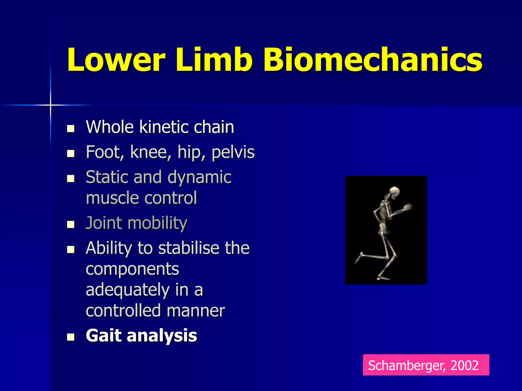 Lower Limb Biomechanics.ppt