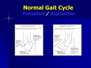 Lower Limb Biomechanics.ppt