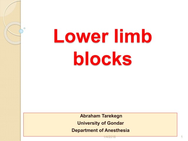 Lower limb blocks | PPTX | Death, Injury, or Military Conflict | Sensitive Topics