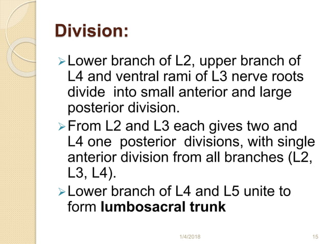 Lower limb blocks | PPTX | Death, Injury, or Military Conflict ...