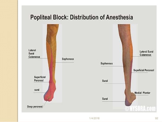 Lower limb blocks