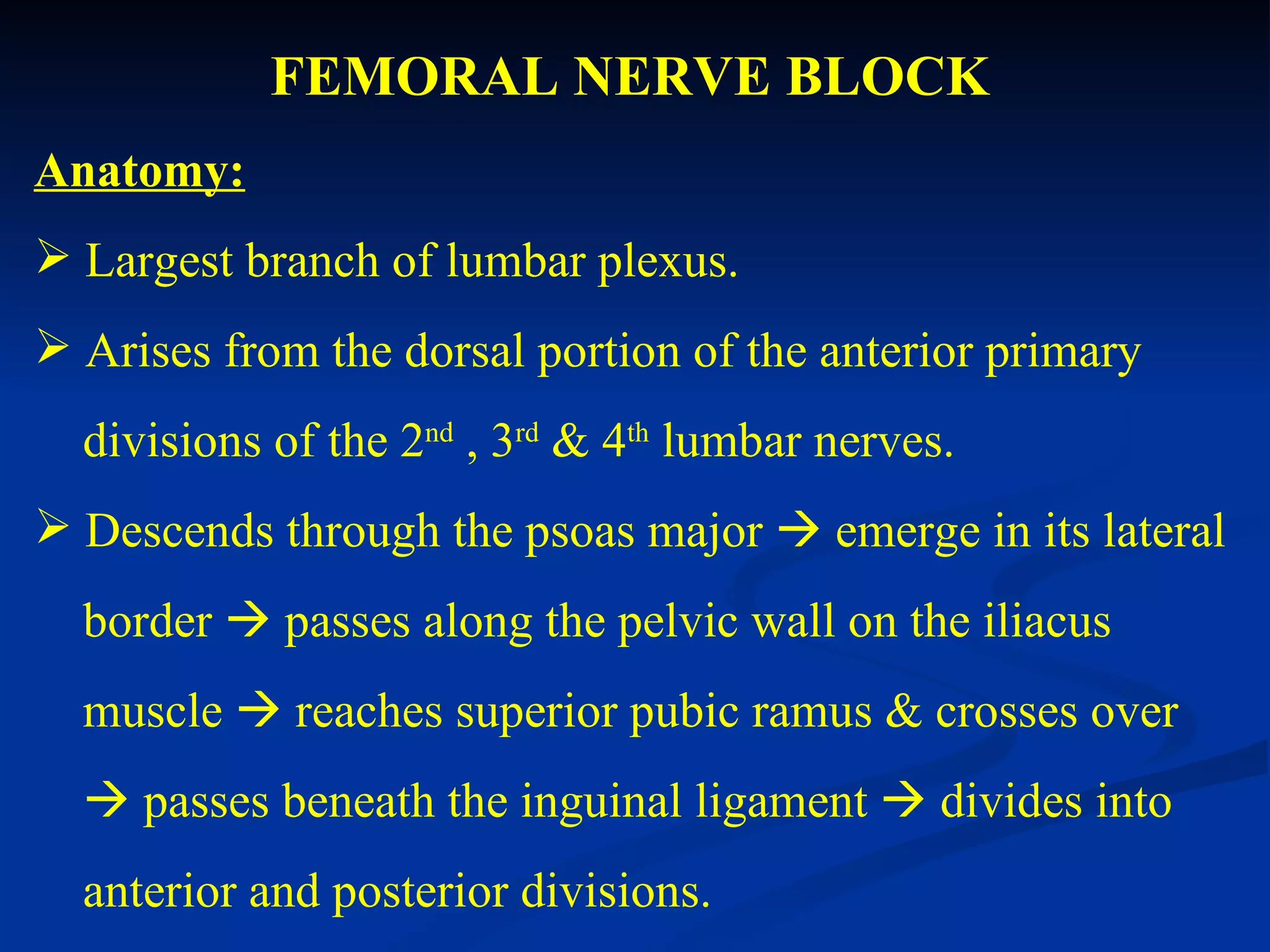 Lower limb blocks | PPT
