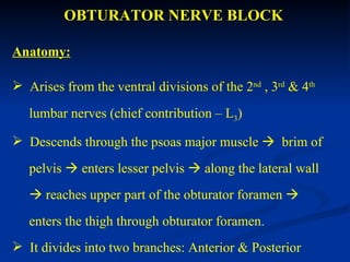 Lower limb blocks | PPT