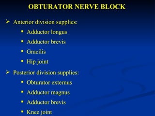 Lower limb blocks | PPT