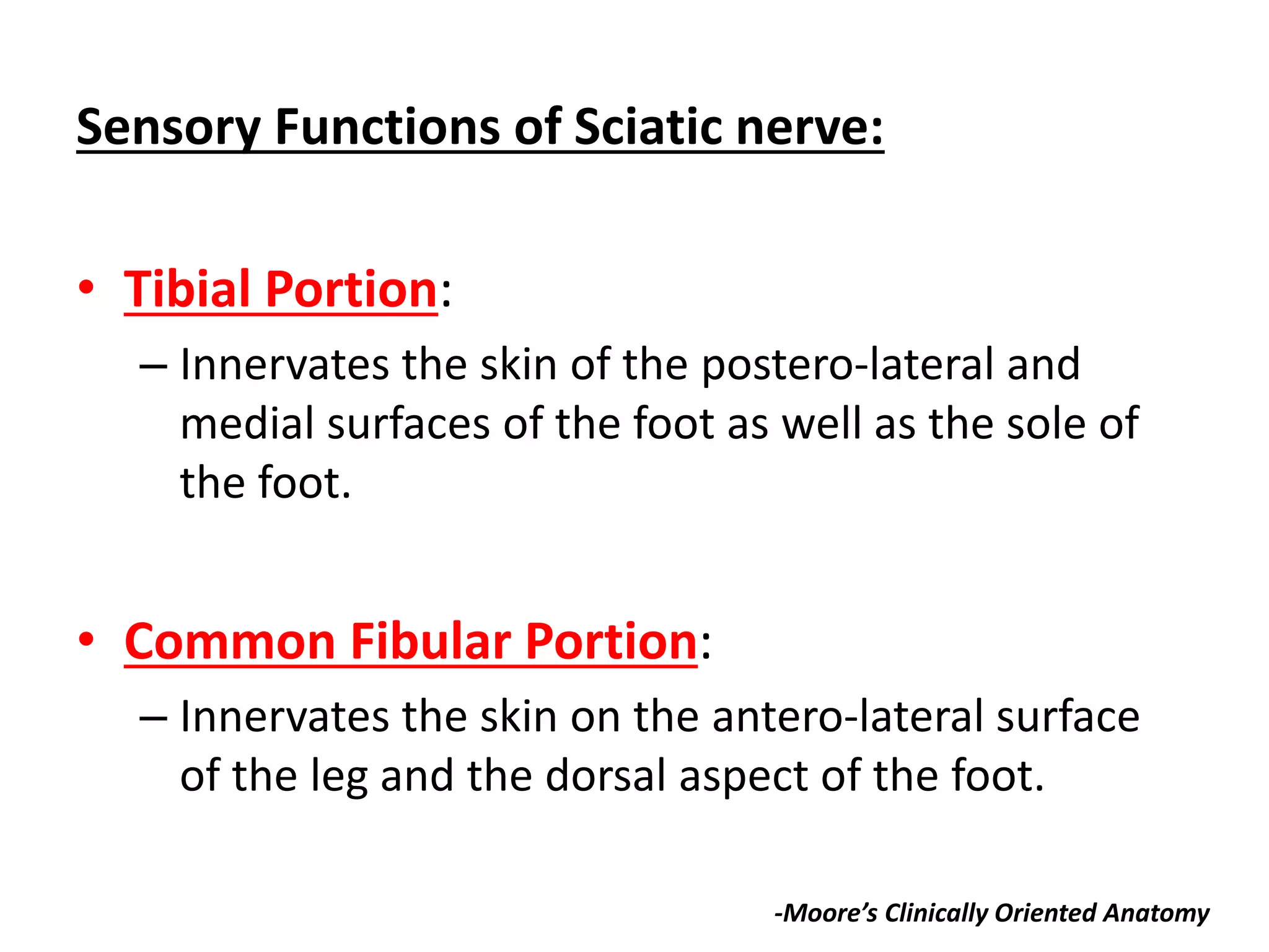 LOWER LIMB EXAMINATION.pptx