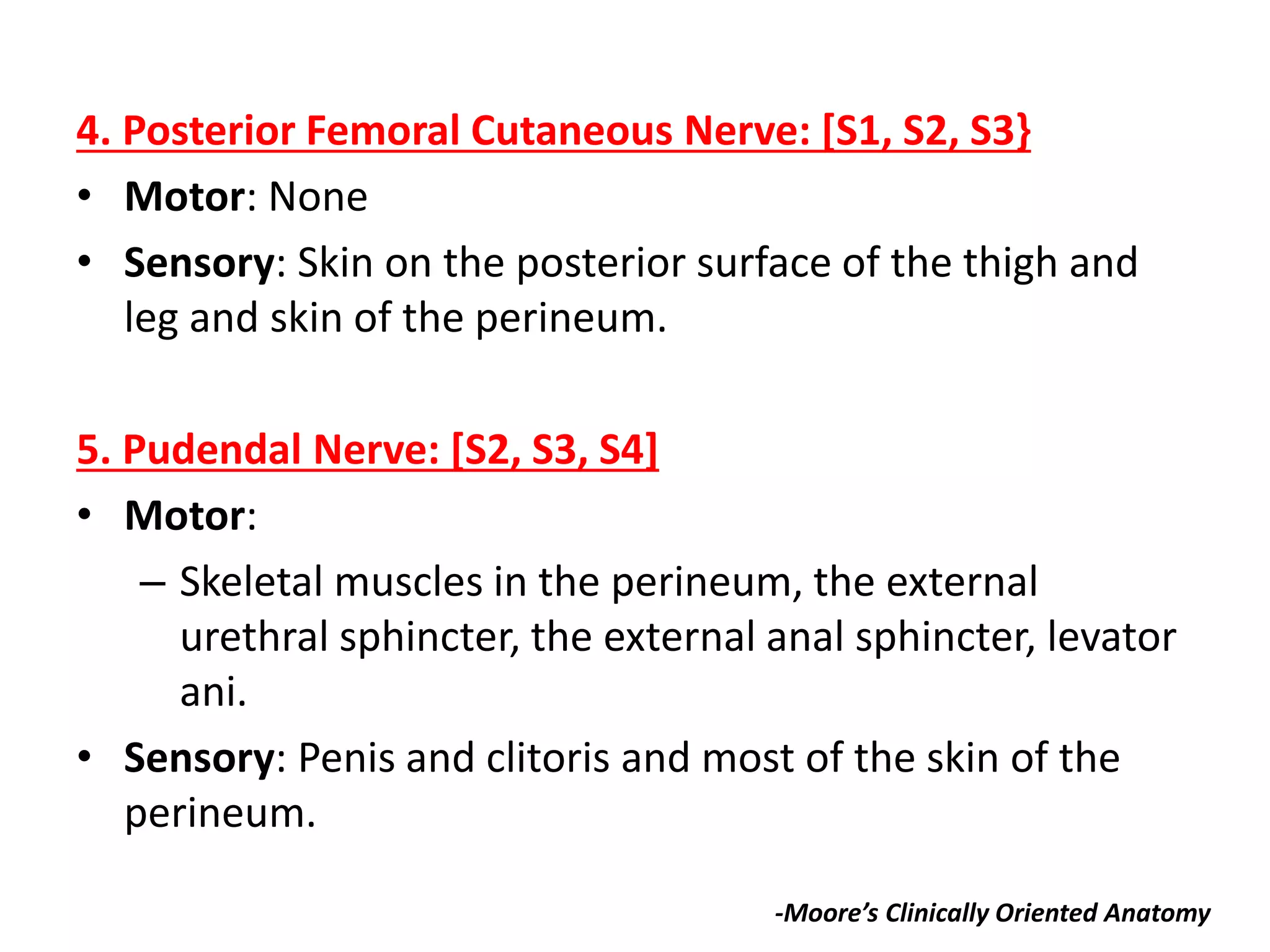 LOWER LIMB EXAMINATION.pptx