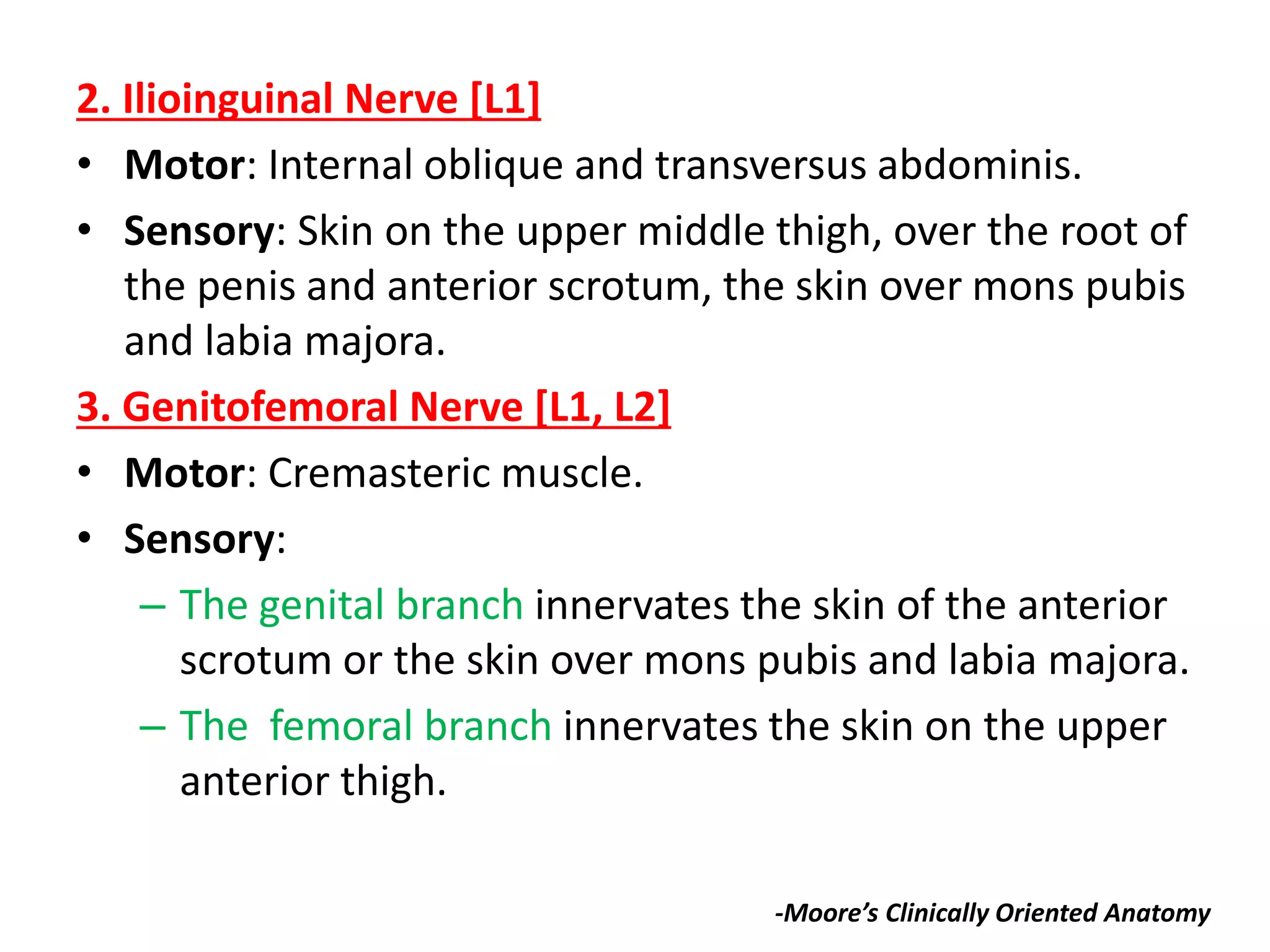 LOWER LIMB EXAMINATION.pptx
