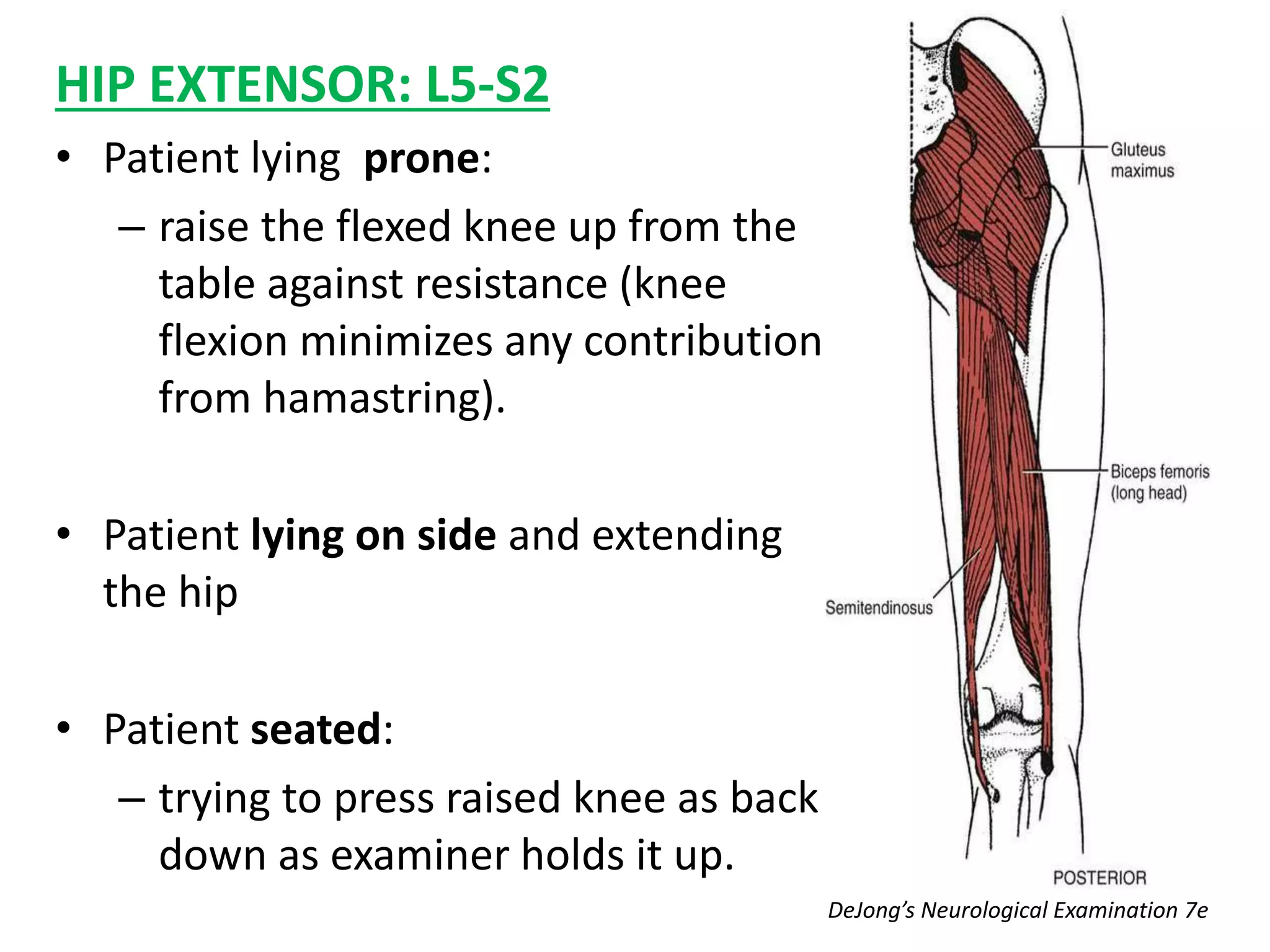 LOWER LIMB EXAMINATION.pptx