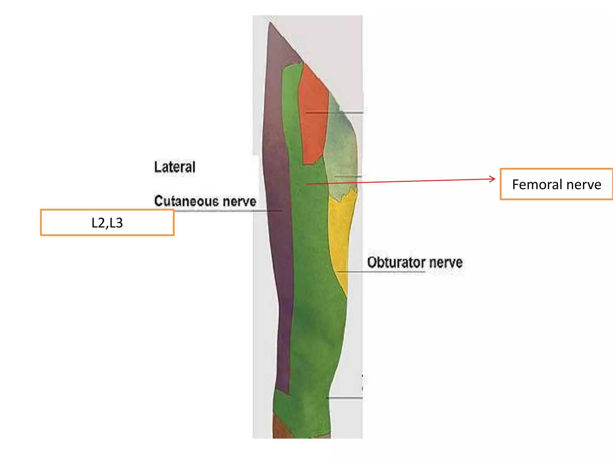 LOWER LIMB EXAMINATION.pptx