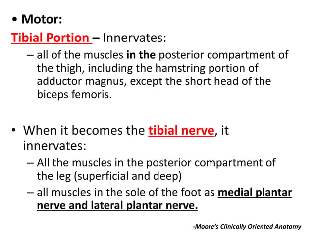 LOWER LIMB EXAMINATION.pptx