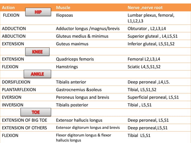 LOWER LIMB EXAMINATION.pptx