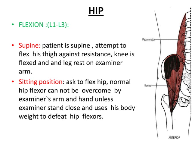 LOWER LIMB EXAMINATION.pptx