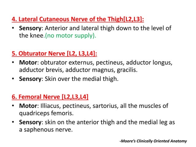 LOWER LIMB EXAMINATION.pptx