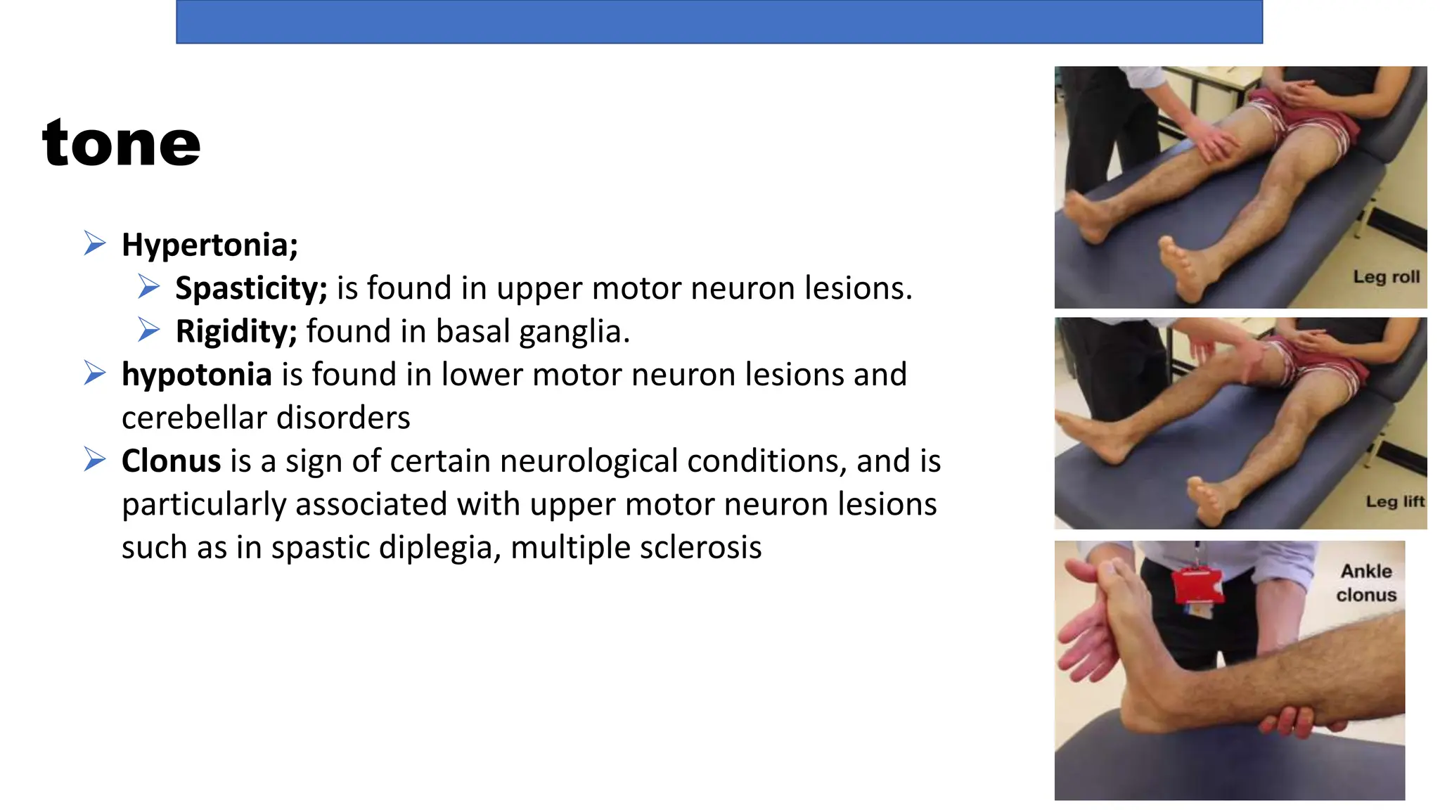 LOWER LIMB EXAMINATION.pptxThe neurologic examination is typically ...