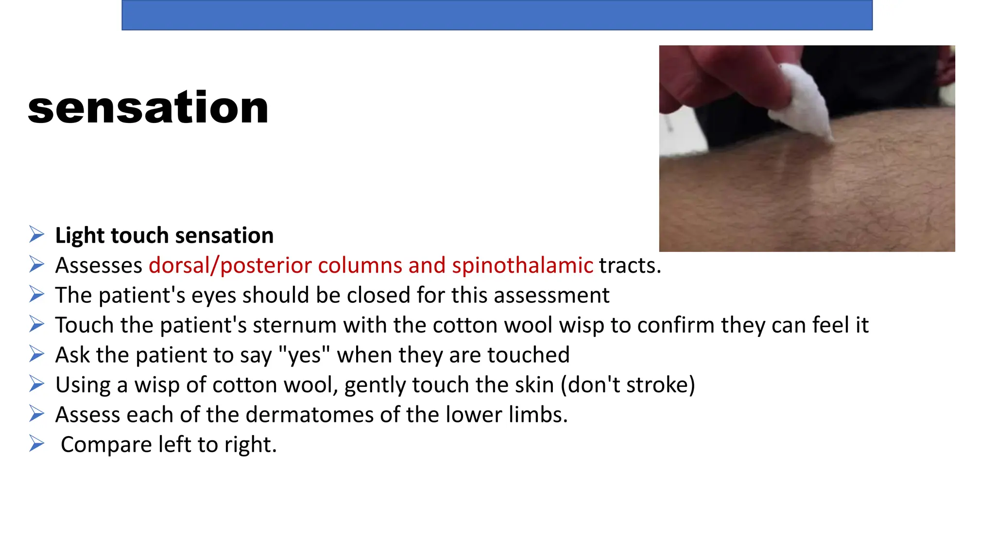 LOWER LIMB EXAMINATION.pptxThe neurologic examination is typically ...