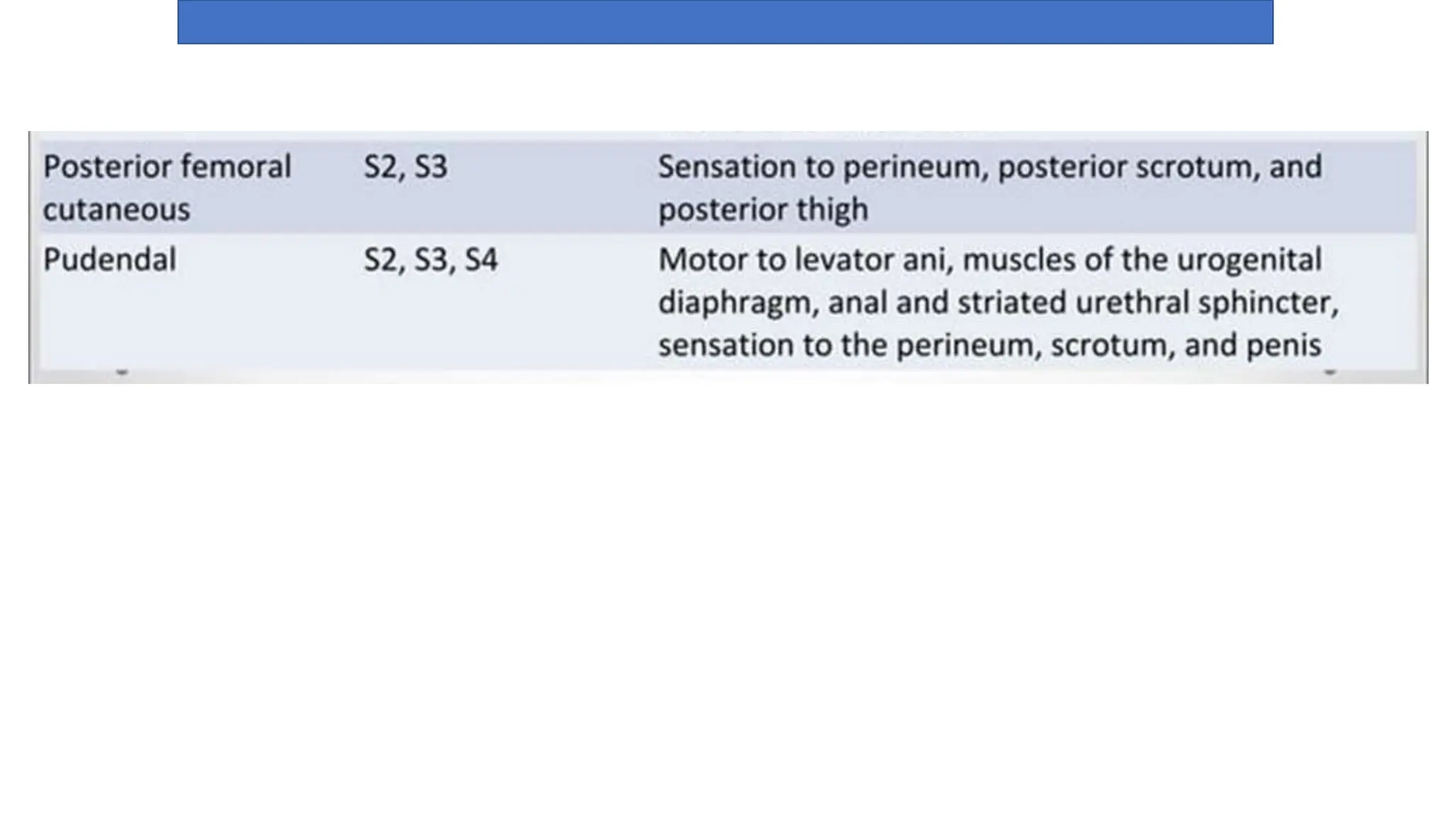 LOWER LIMB EXAMINATION.pptxThe neurologic examination is typically ...