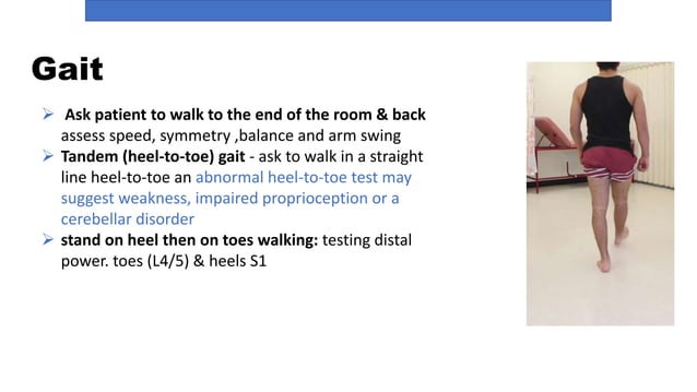 LOWER LIMB EXAMINATION.pptxThe neurologic examination is typically ...