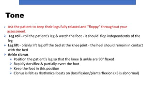 LOWER LIMB EXAMINATION.pptxThe neurologic examination is typically ...