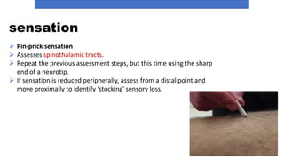 LOWER LIMB EXAMINATION.pptxThe neurologic examination is typically ...