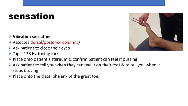 LOWER LIMB EXAMINATION.pptxThe neurologic examination is typically ...